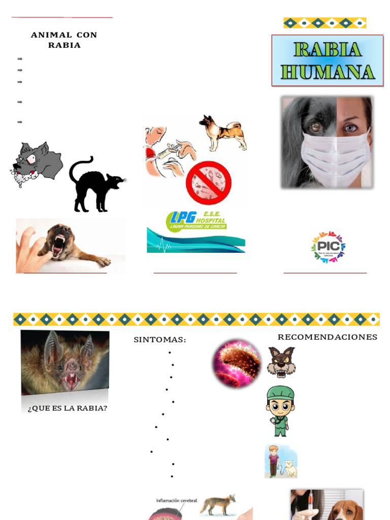 Folleto Rabia Humana | PDF | Rabia | Salud pública