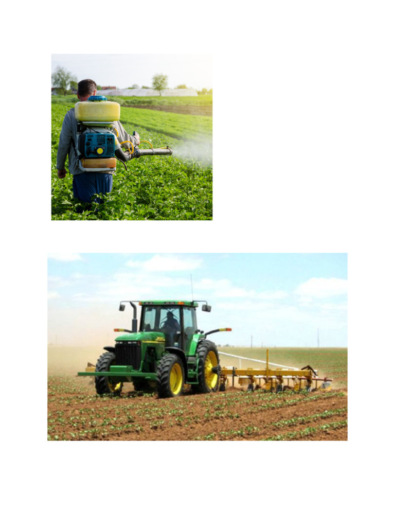 Document Sans Titre - Google Docs | PDF