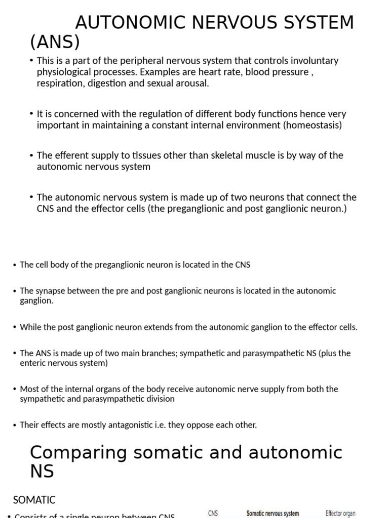Autonomic Nervous System 2nd Year | PDF | Autonomic Nervous System ...