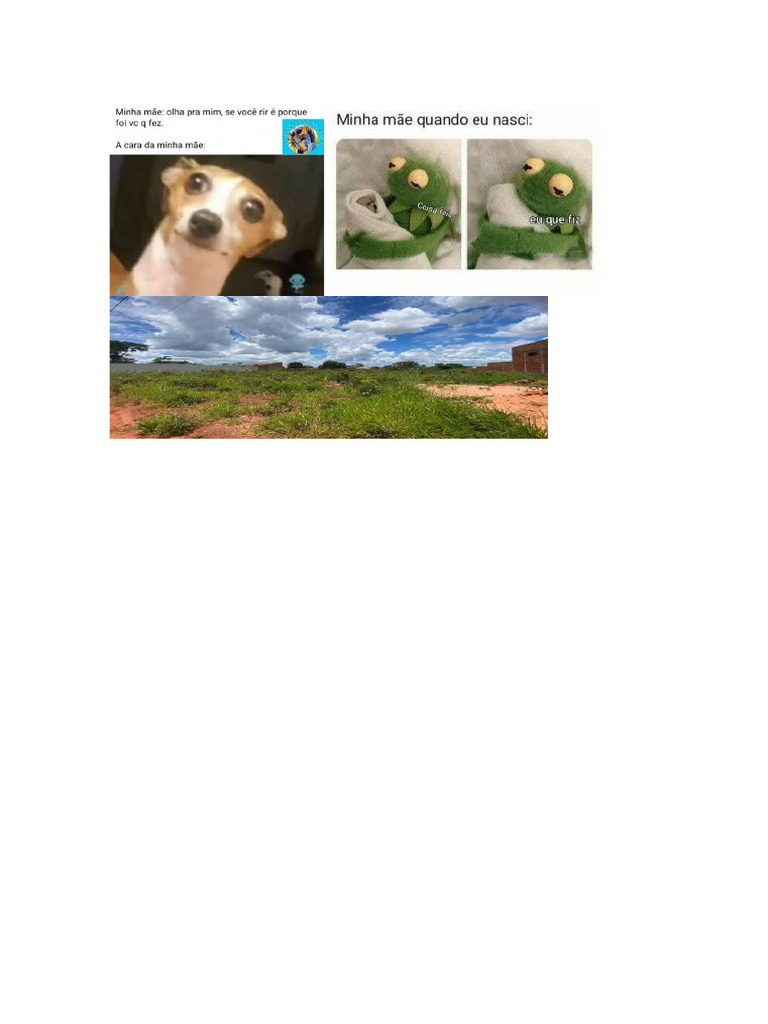 Meme | PDF