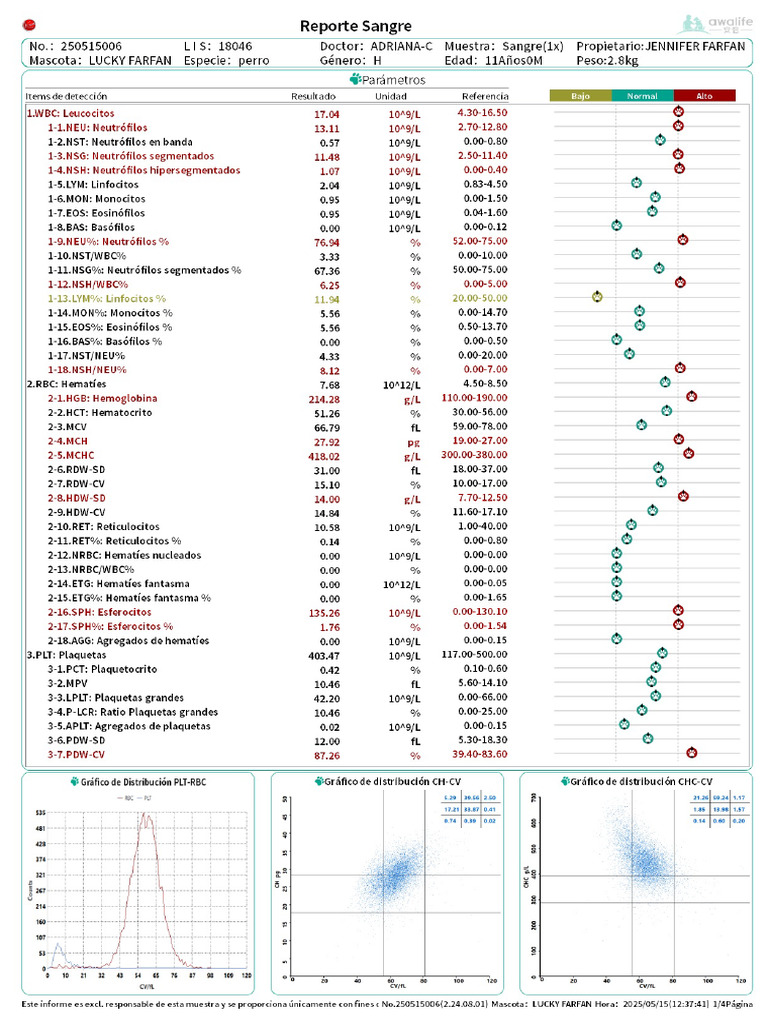 LUCKY FARFAN - Sangre - 250515006 | PDF