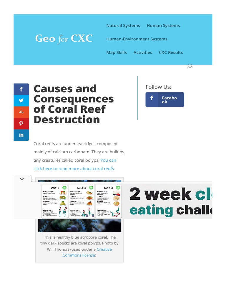 Causes and Consequences of Coral Reef Destruction - Geo for CXC | PDF | Coral Reef | Coral
