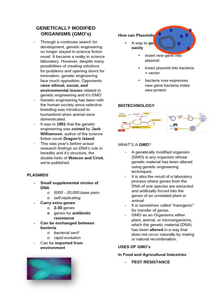 Genetically Modified Organisms | PDF | Genetically Modified Organism ...