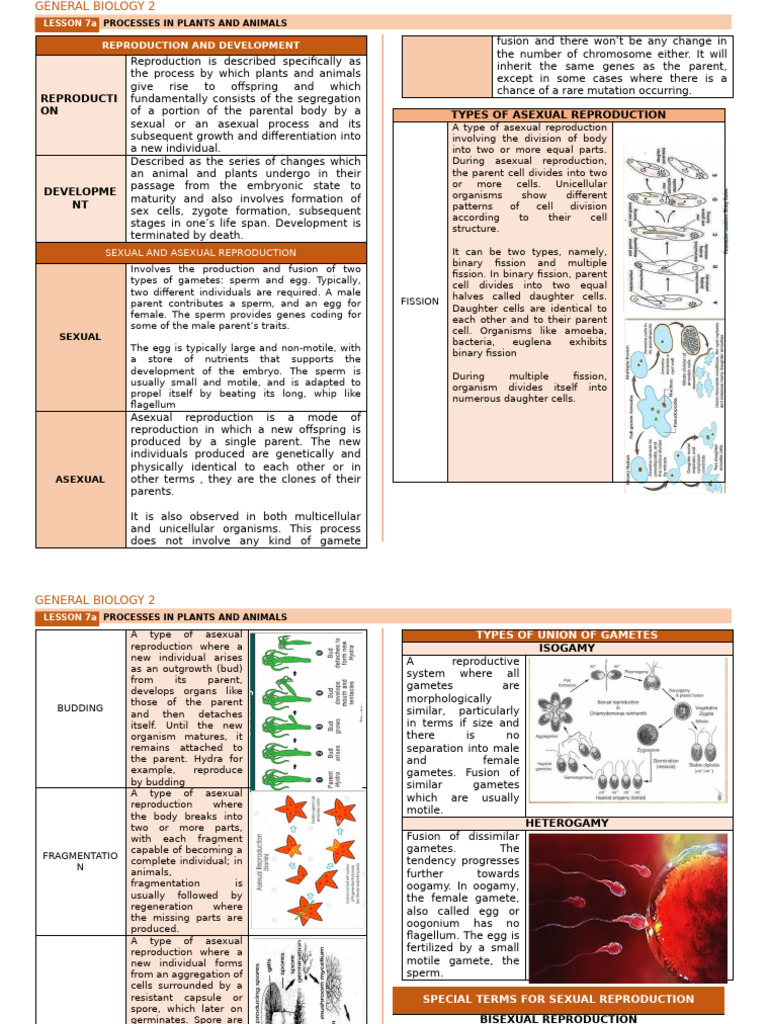 PROCESS IN PLANTS AND ANIMALS NOTES | PDF | Sexual Reproduction ...