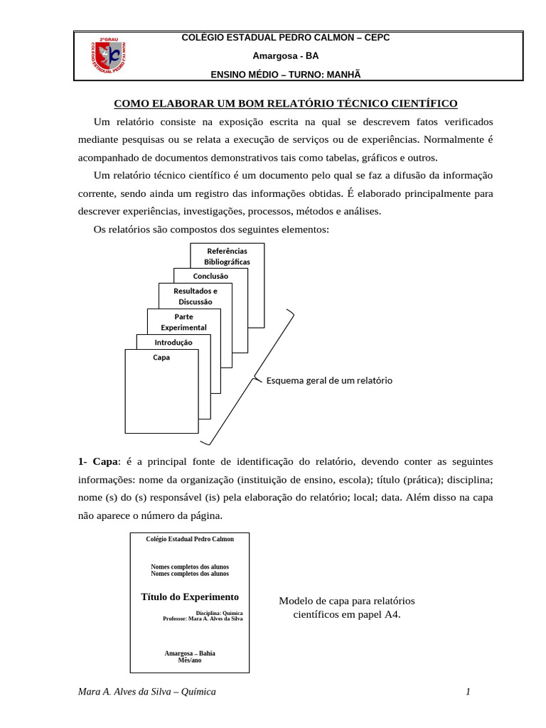 Como Elaborar Um Bom Relatório Técnico Científico | PDF | Science | Química
