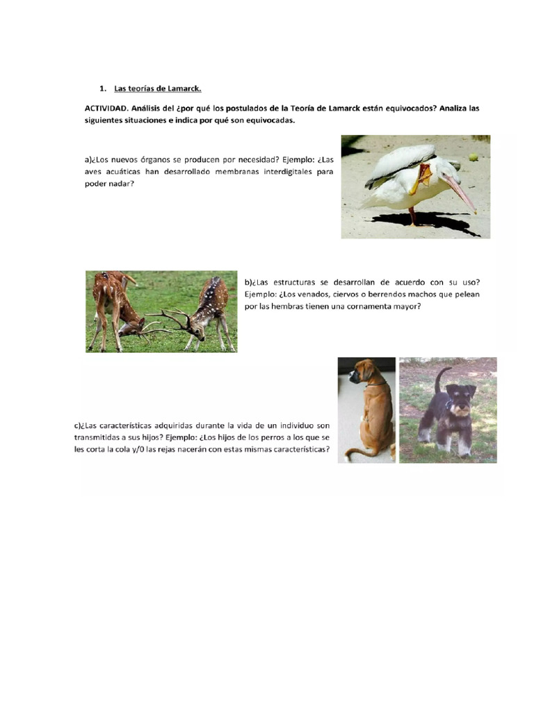 Actividad 2do CT | PDF