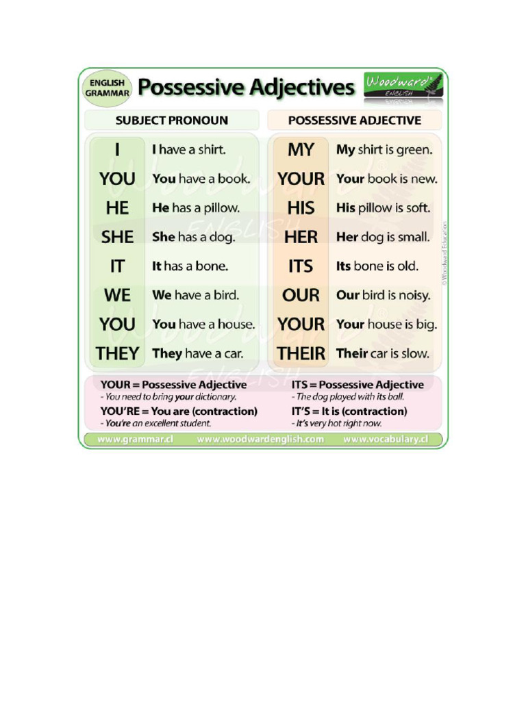 Ejercicios Adjetivos Posesivos | PDF