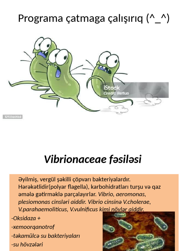 Elave Mikroorqanizm Mikrob | PDF