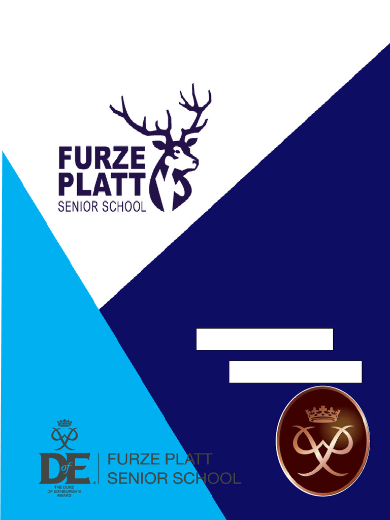 Bronze DofE Assessor Report Guide | PDF