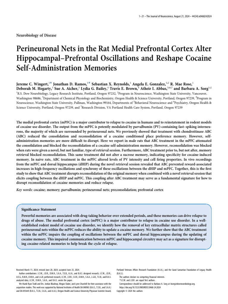 Perineuronal Nets in The Rat Medial Prefrontal Cortex (... ) | PDF ...