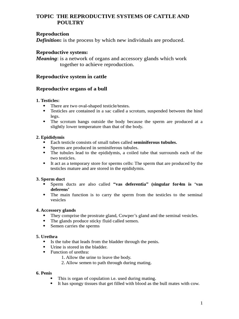 Cattle and Poultry Reproductive Systems | PDF | Reproductive System ...