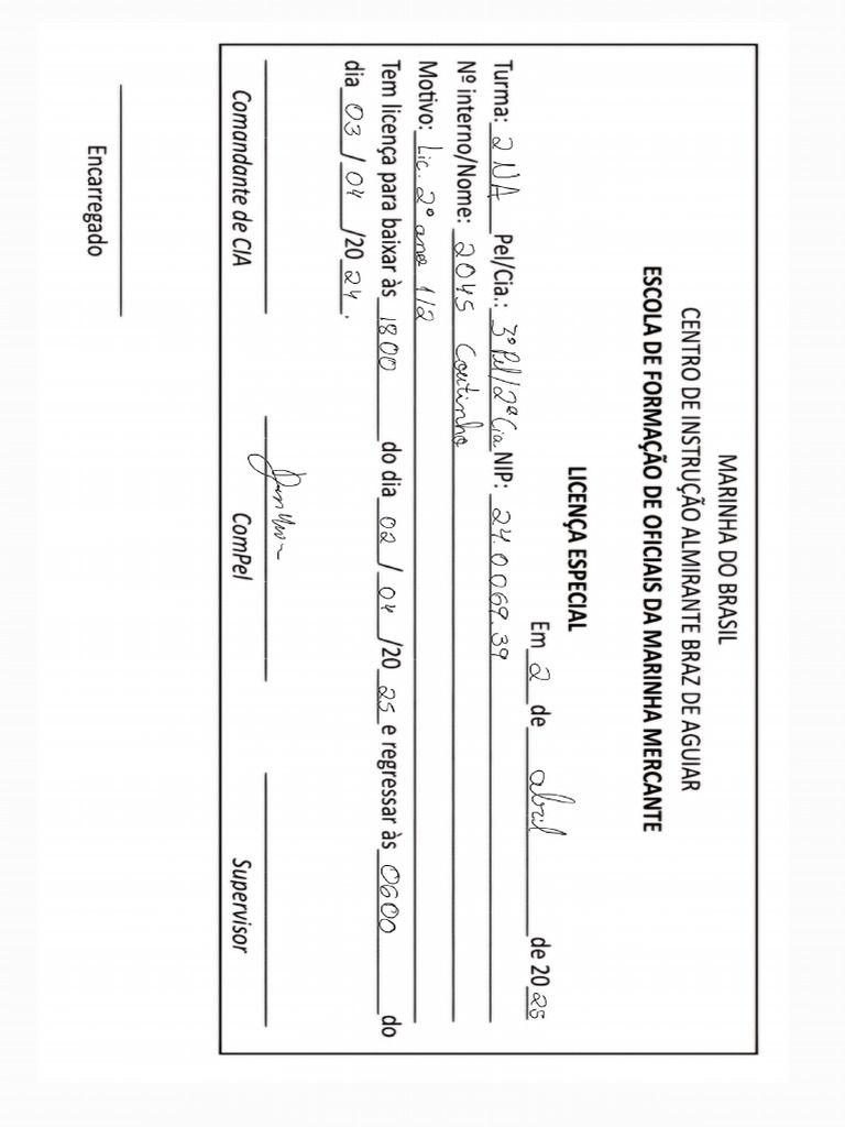 Lic Modelo | PDF