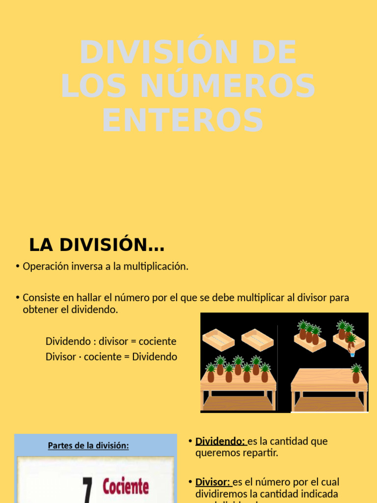 Cómo Dividir Números Enteros y Decimales | PDF
