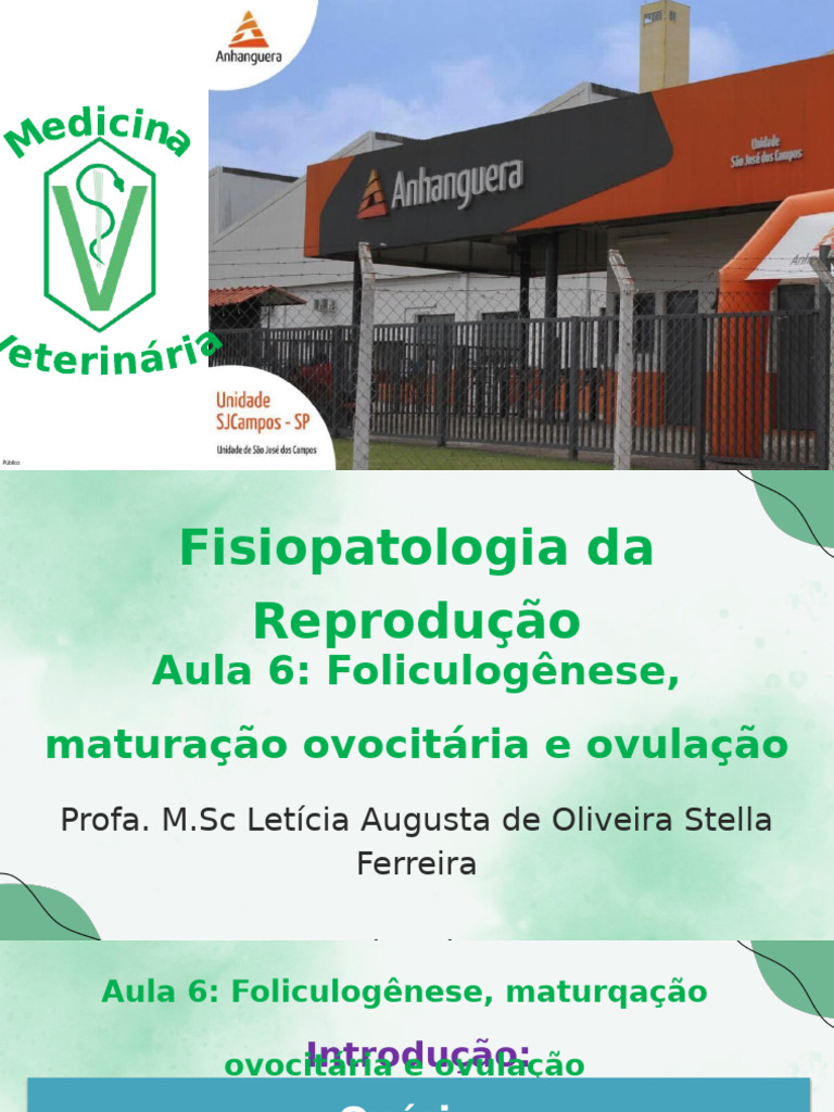 Aula 6 Foliculogênese, Maturação Ovocitária e Ovulação | PDF | Hormônio ...