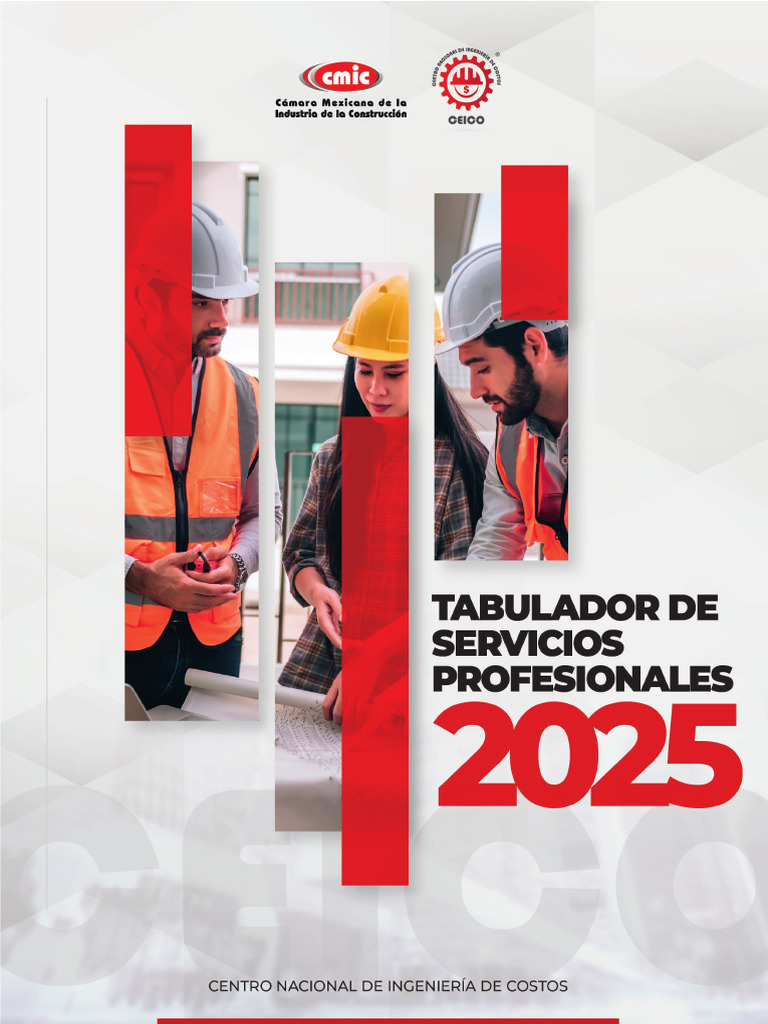Tabulador de Servicios Profesionales 2025 | PDF | Salario mínimo | Salario