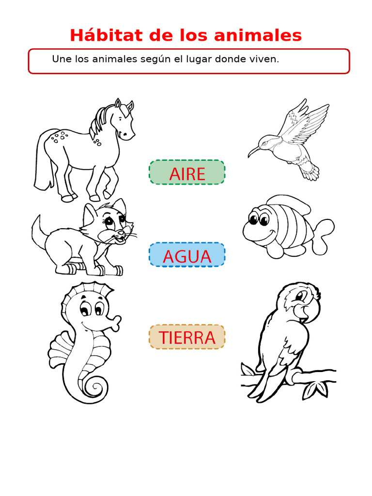 Hábitat de Los Animales: Une Los Animales Según El Lugar Donde Viven | PDF