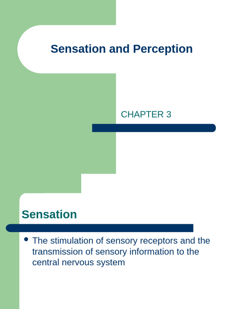 Sensation-Perception Socsci2 | PDF | Senses | Color