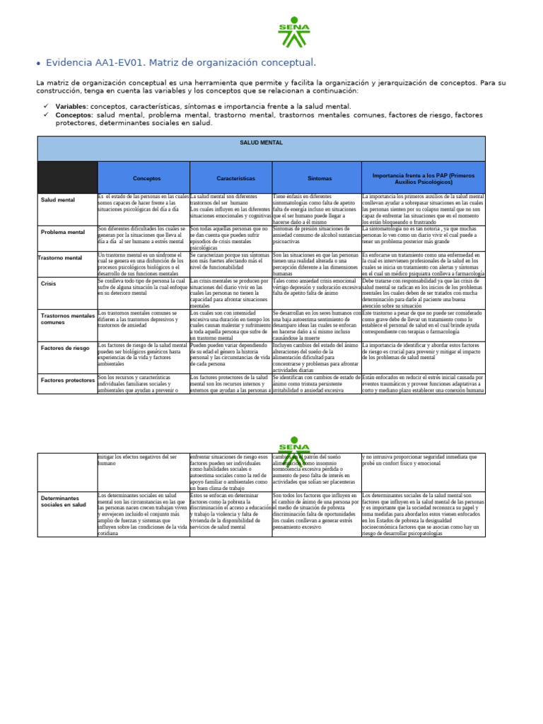Matriz Conceptual | PDF | Trastorno mental | Salud mental