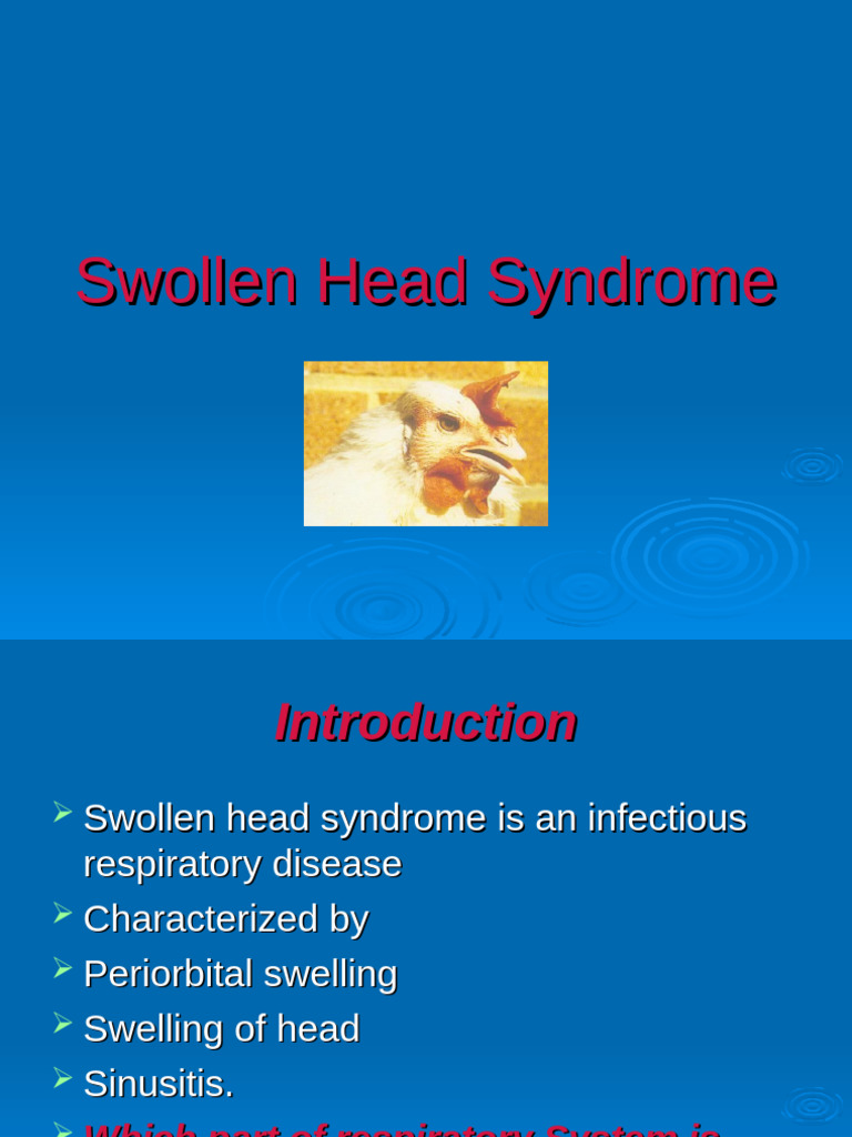 Understanding Swollen Head Syndrome | PDF
