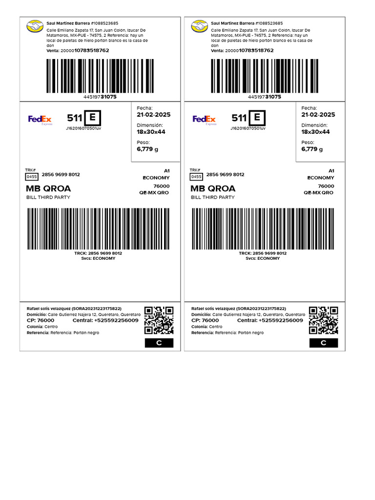 Shipment Labels 250228134637 | PDF