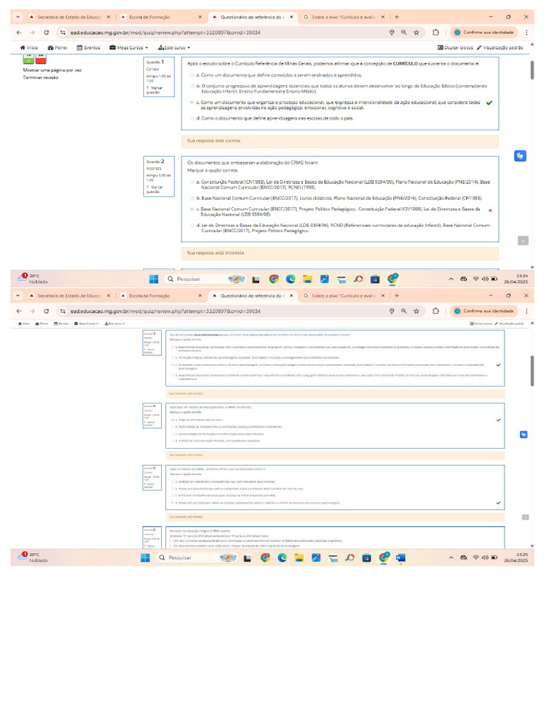Ava 1 Anos Iniciais | PDF