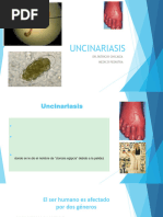 Uncinariasis | PDF | Diarrea | Medicina CLINICA