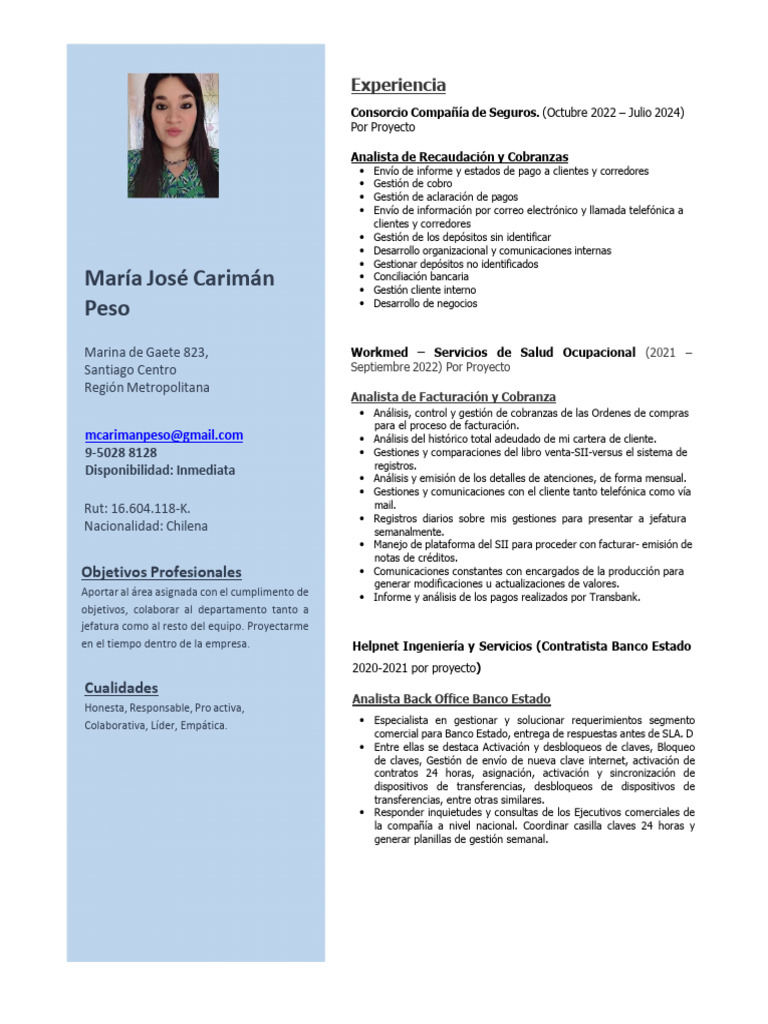 CV Maria José Carimán Peso PDF 33-3 | PDF | Economias | Business