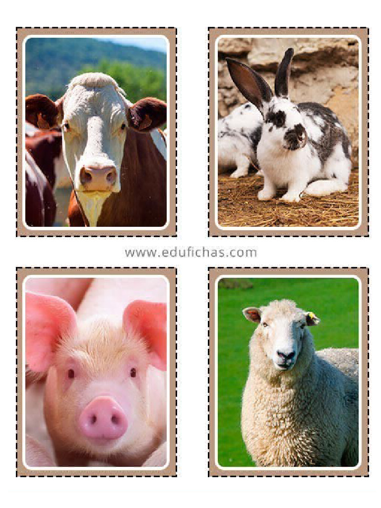 Animales Granja | PDF
