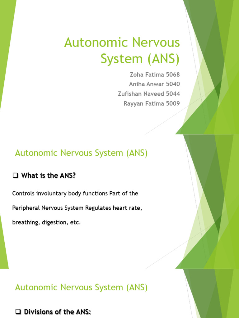 Autonomic Nervous System (ANS) | PDF
