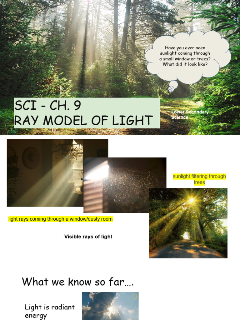 Understanding Light: Rays and Reflection | PDF | Reflection (Physics ...