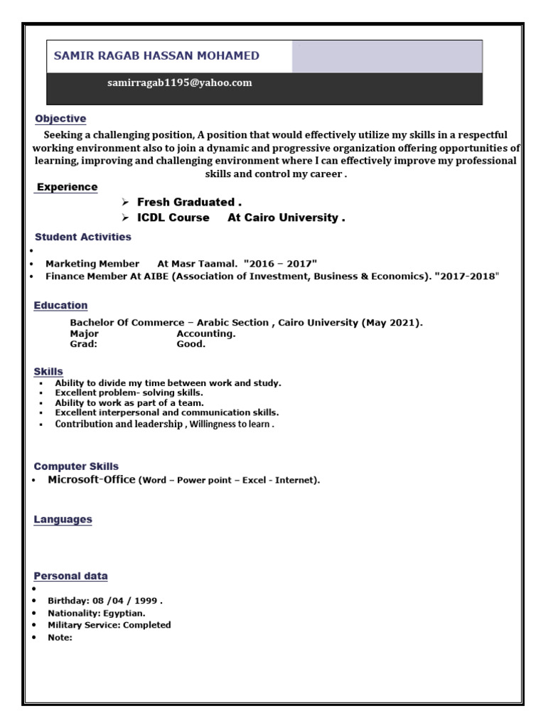 Samir Ragab CV | PDF