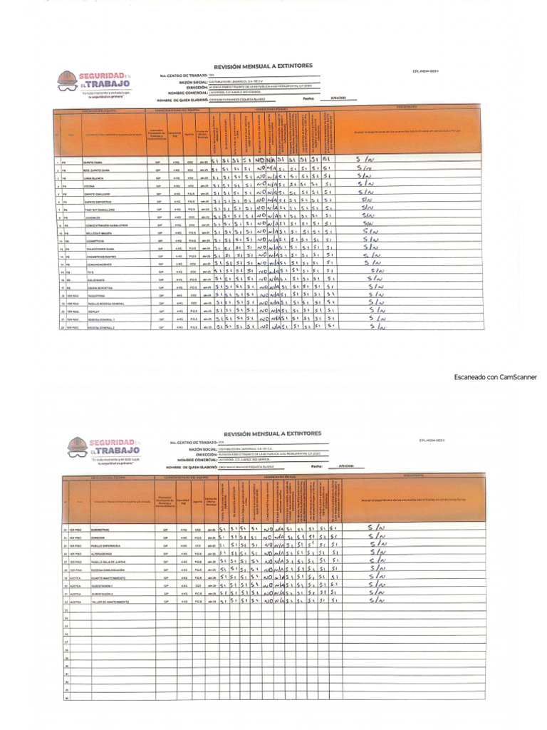 Revisión Mensual | PDF