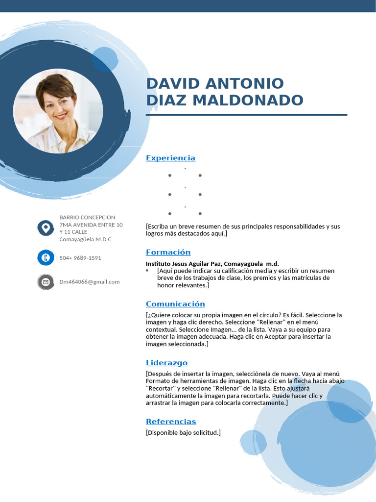 CV Antonio | PDF