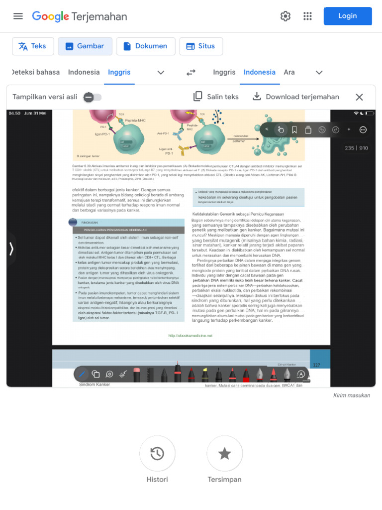 Google Terjemahan | PDF