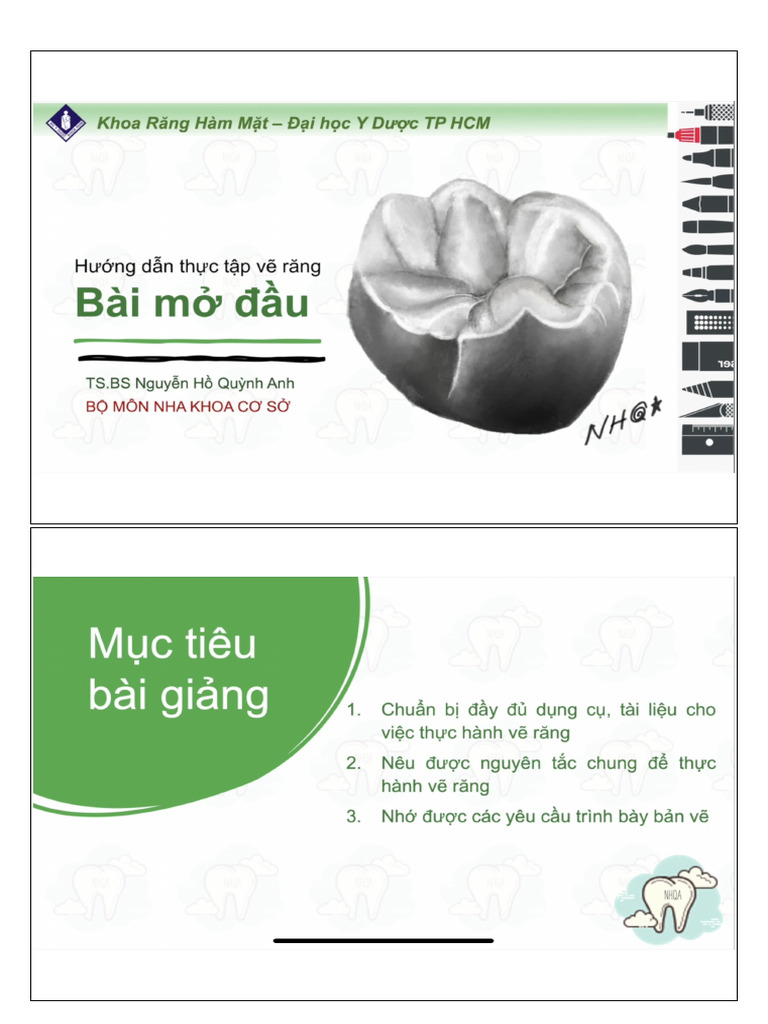 Giải Phẫu Răng Drawing Slide | PDF