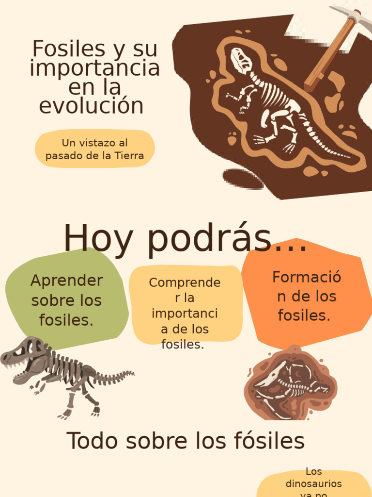 Fosiles y Su Importancia en La Evolución: Un Vistazo Al Pasado de La ...
