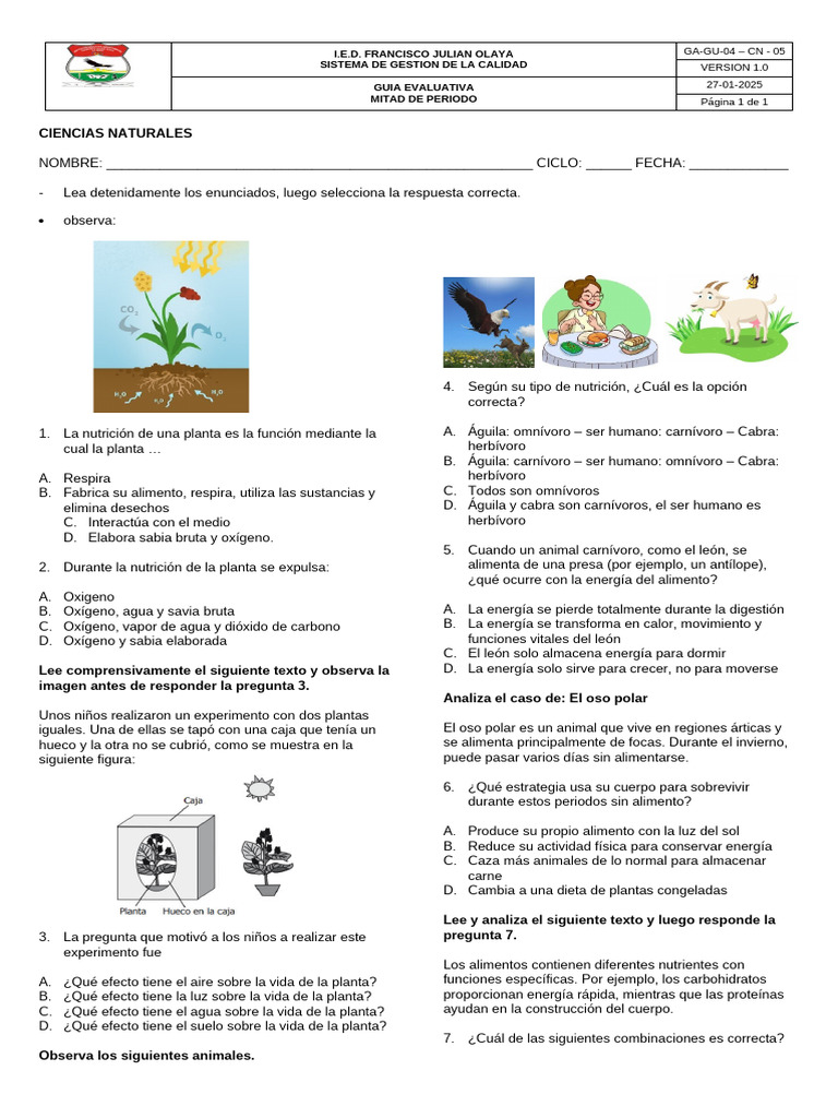 NATURALES - MITAD DE PERIODO - 2° Ciclo 2 y 3 | PDF | Digestión ...