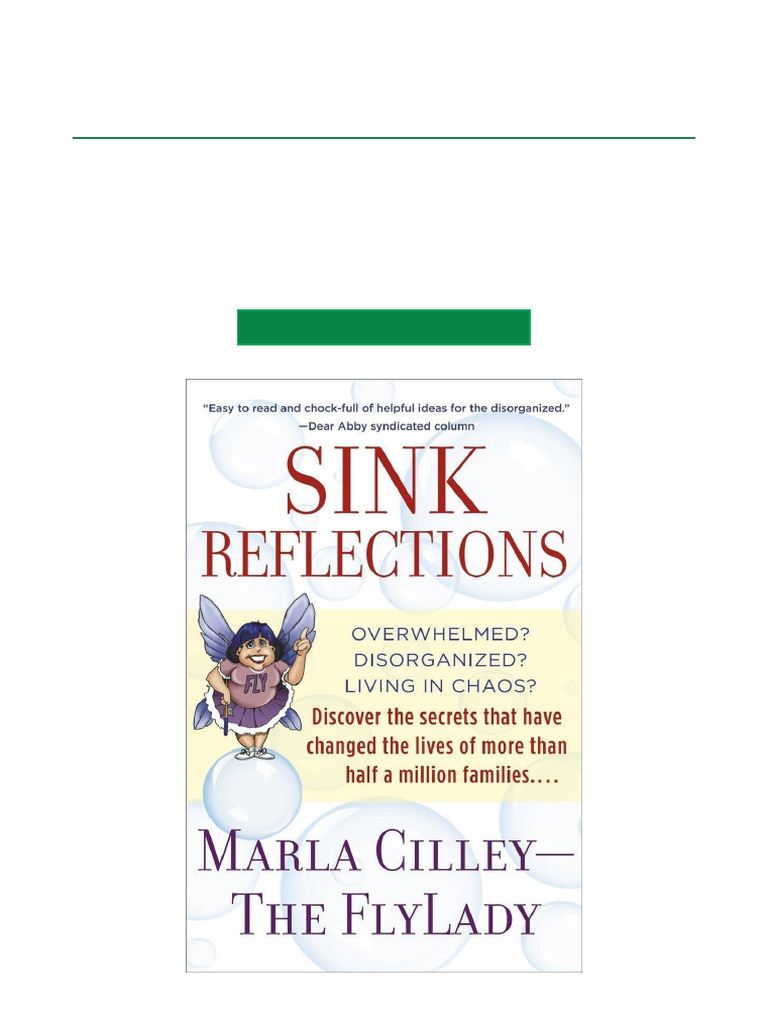 Featured Top Sink Reflections The FlyLady's Simple Flying Lessons Will ...