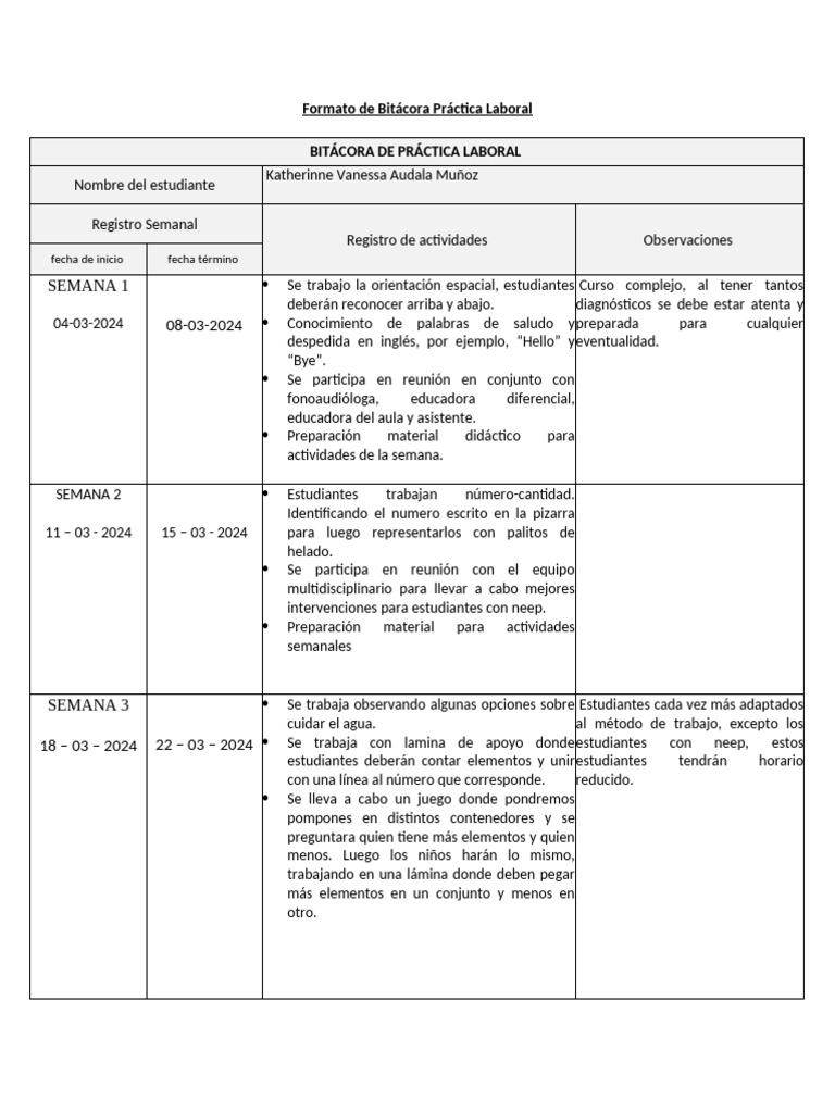 BitÃ¡cora PrÃ¡ctica Laboral MARZO | PDF | Aprendizaje | Cognición