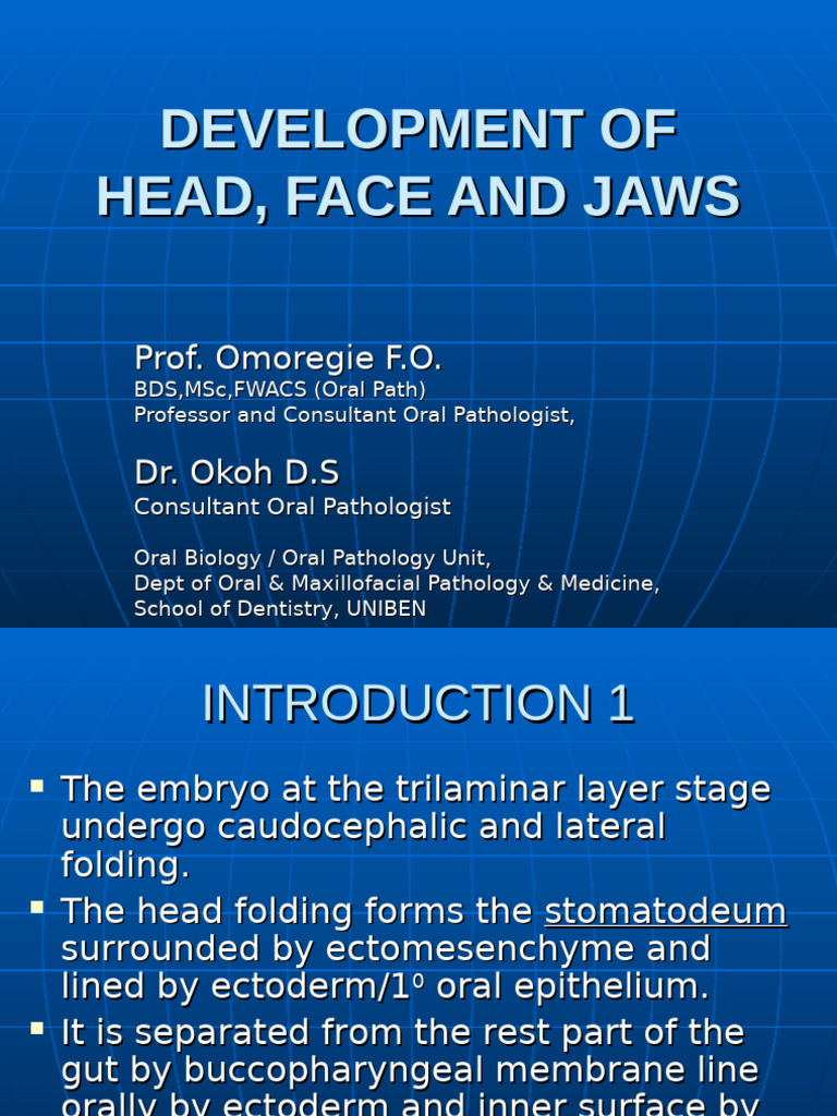 Development of Head, Face and Jaws | PDF | Skull | Human Anatomy