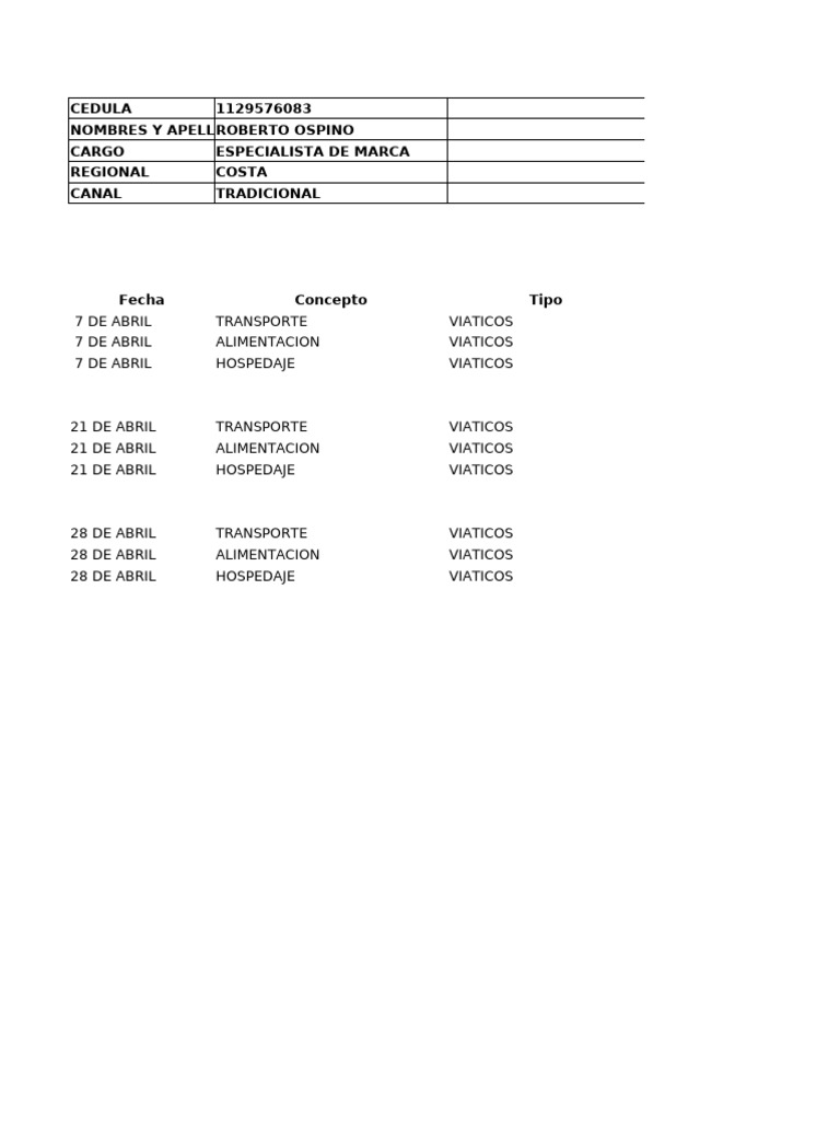 Formato Base Viaticos 01042025 | PDF