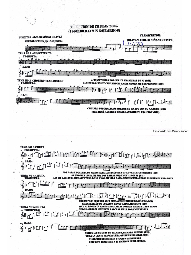 Chutas Raymis Gallardo Bajo y Trom | PDF