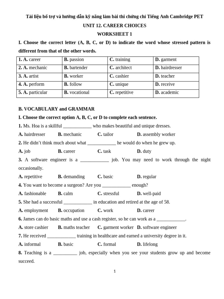 Career Choices and Planning Guide | PDF