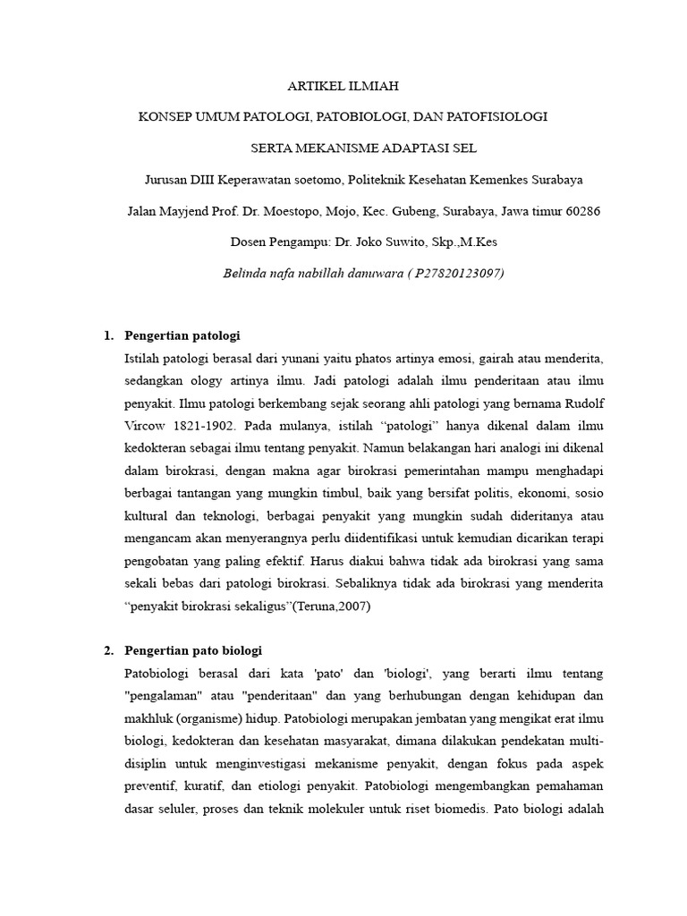 ARTIKEL ILMIAH Belinda Nafa 1 | PDF