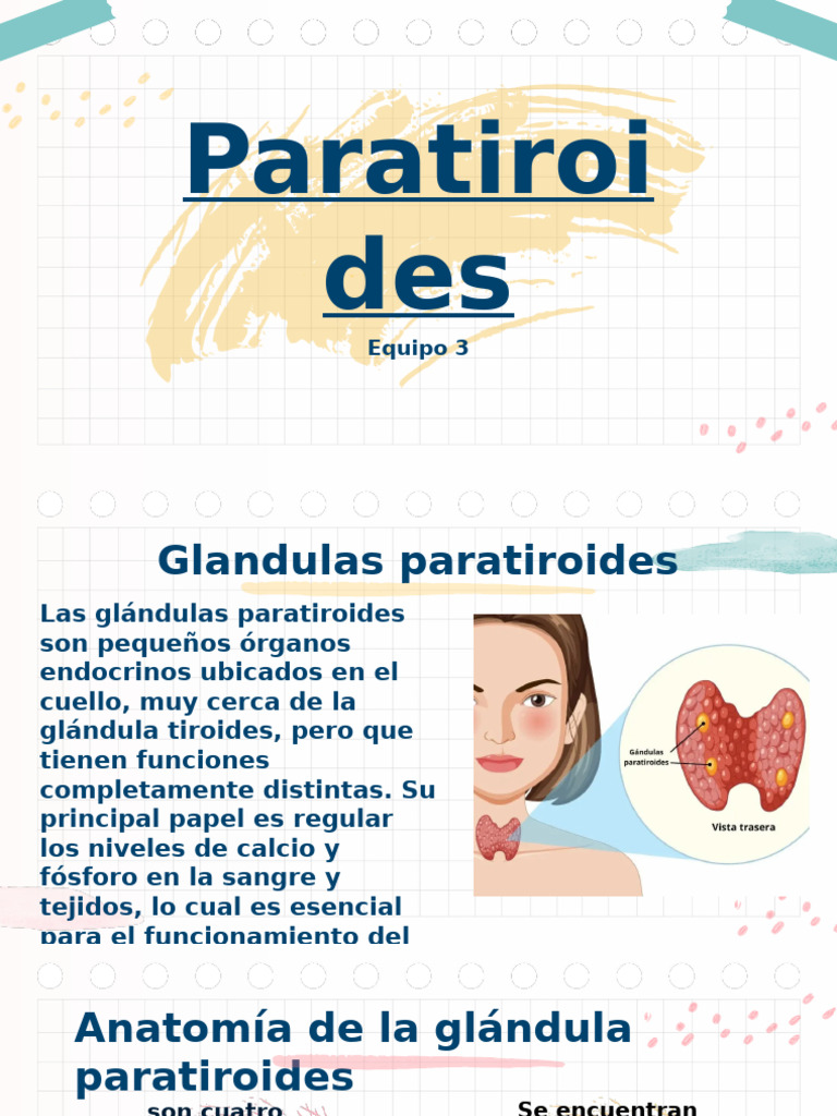 Glandula Paratiroides 2103 | PDF