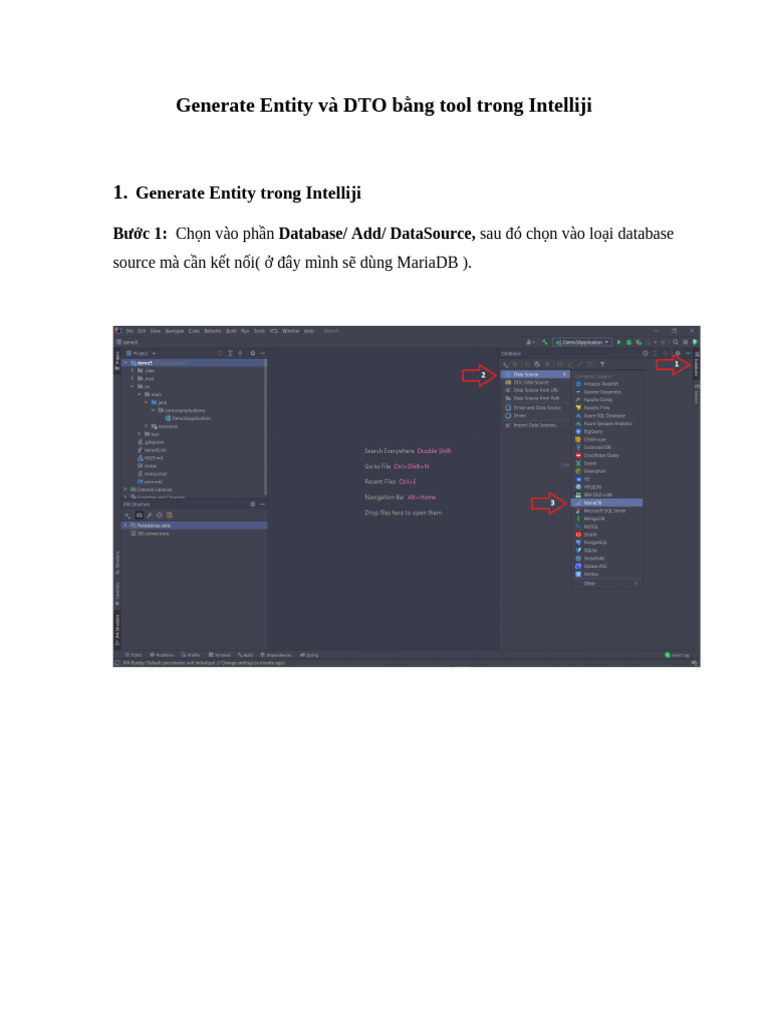 Generate Entity Và DTO Trong Intelliji | PDF