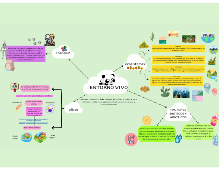 Mapa Mental Con Los Conceptos Básicos Del Entorno Vivo - GA2-220201501-AA1-EV01 - Asesoria ...
