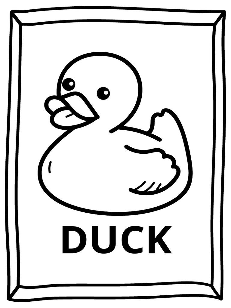 Duck | PDF