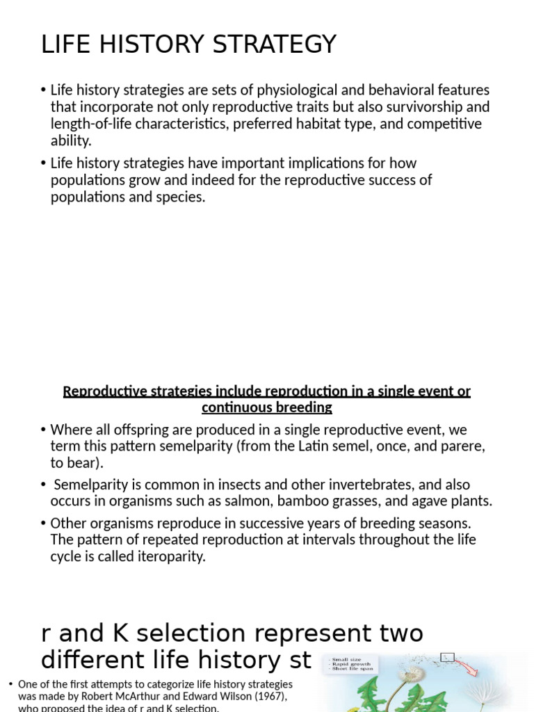 R and K Selection in Life History Strategies | PDF