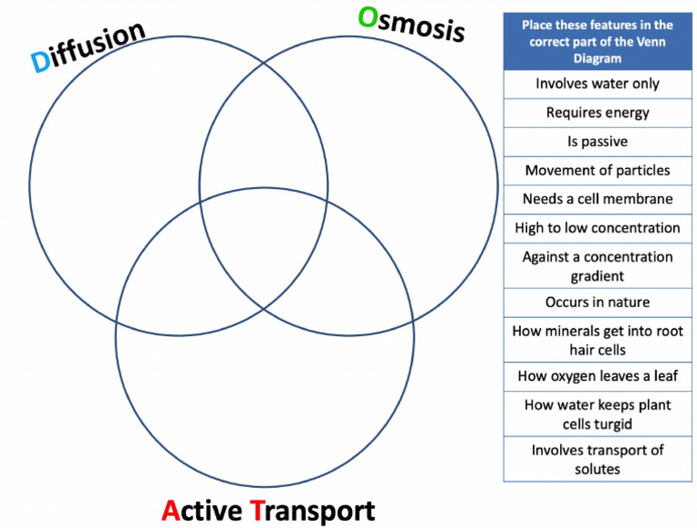 Brandon Low Yi Xian - Venn Diagram Summary | PDF